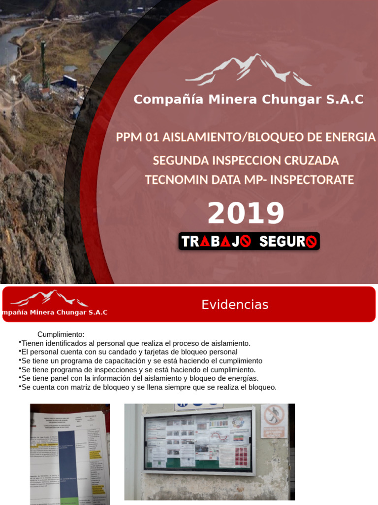 Inspeccion Cruzada | PDF