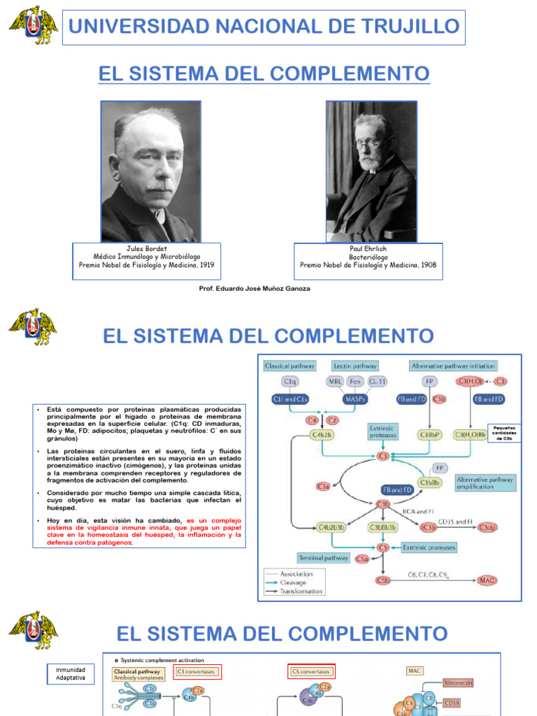 Funciones del Sistema del Complemento | PDF | Sistema complementario ...