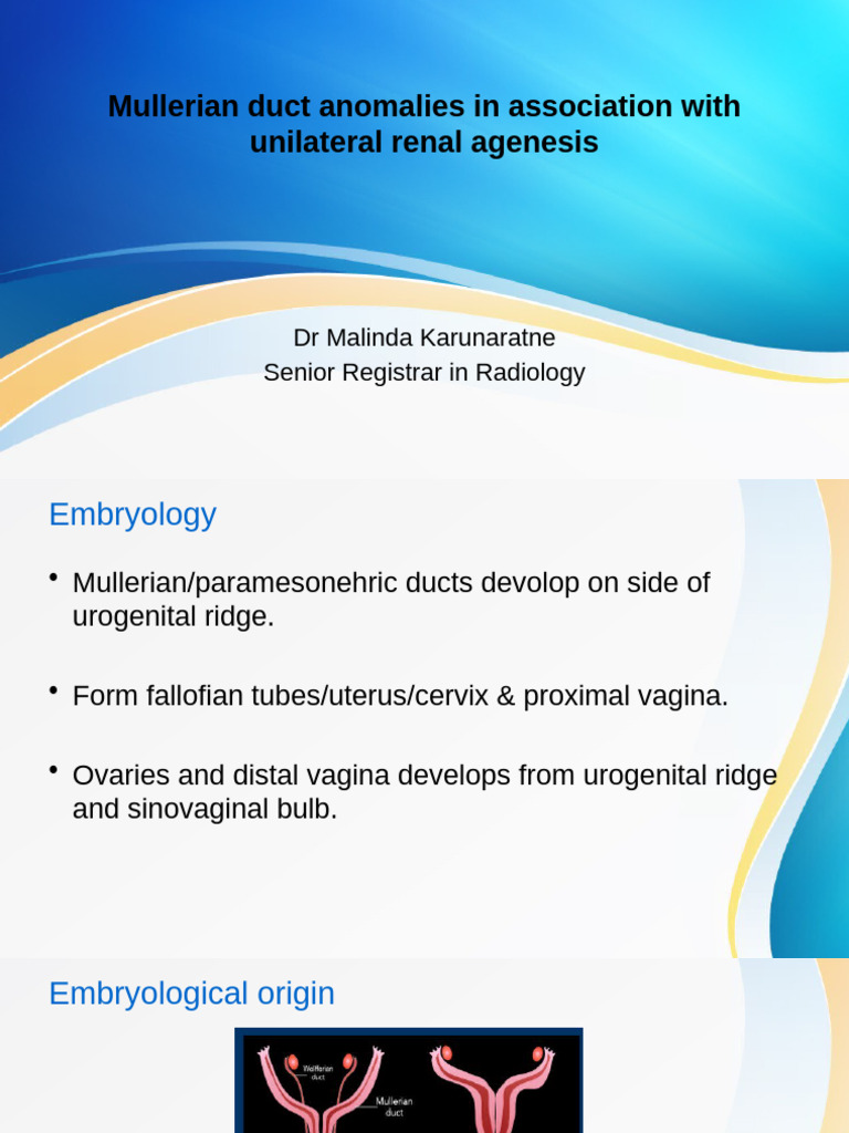 Mullerian Duct Anomalies Overview | PDF | Uterus | Gynaecology