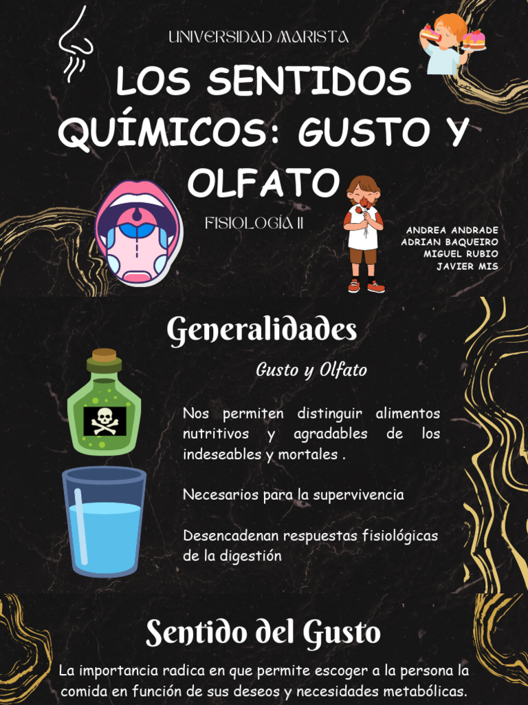 ADA 1 Los sentidos químicos (Gusto y olfato) | PDF | Gusto | Cerebro