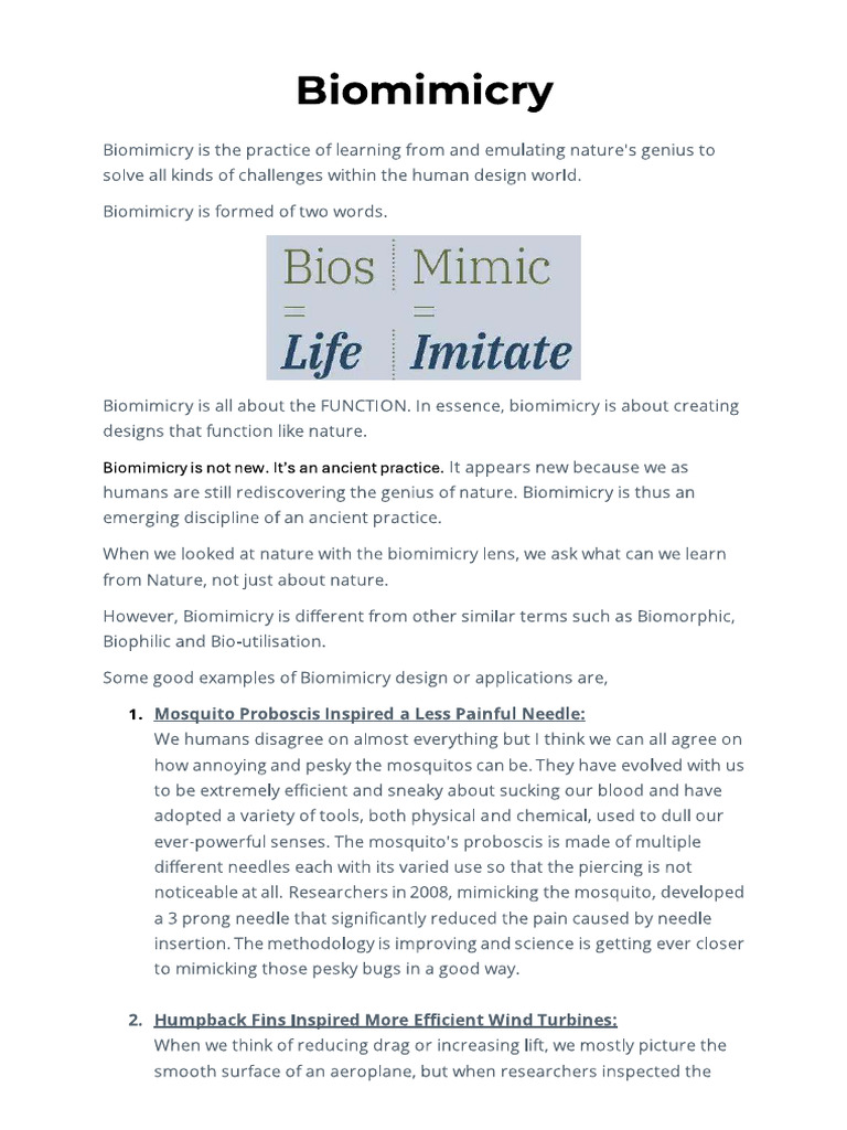 Biomimicry 1 | PDF