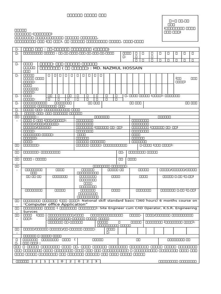 Job Application Form | PDF