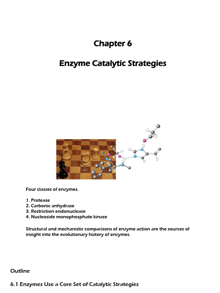 Chapter6-Catalytic Strategies | PDF | Active Site | Enzyme