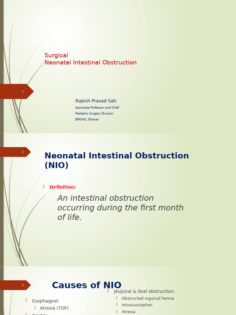 Neonatal Intestinal Obstruction - I | PDF | Digestive System ...