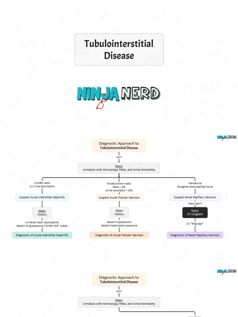 Tubulointerstitial Disease (Slides) | PDF | Anatomy | Clinical Medicine