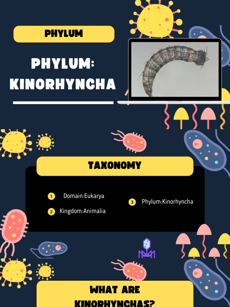 PHYLUM_KINORHYNCHA | PDF | Benthic Zone | Invertebrate
