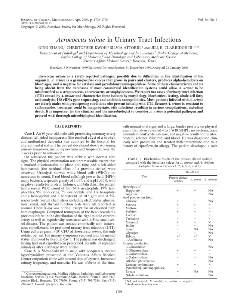 Aerococcus Urinae UTI 2000 | PDF | Urinary Tract Infection | White ...