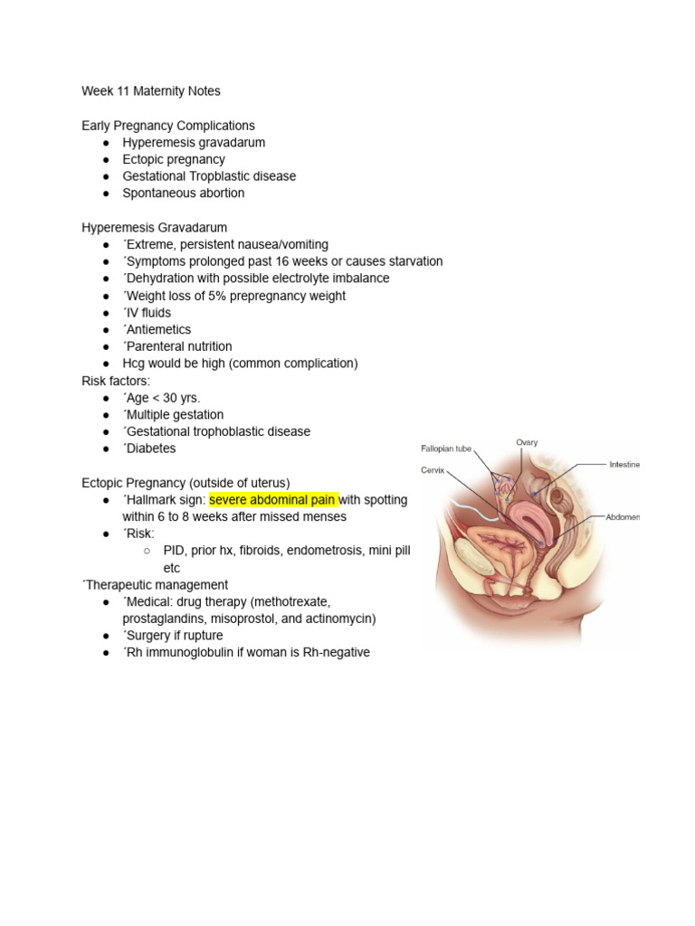 Early Pregnancy Complications Notes | PDF | Pregnancy | Gestational ...