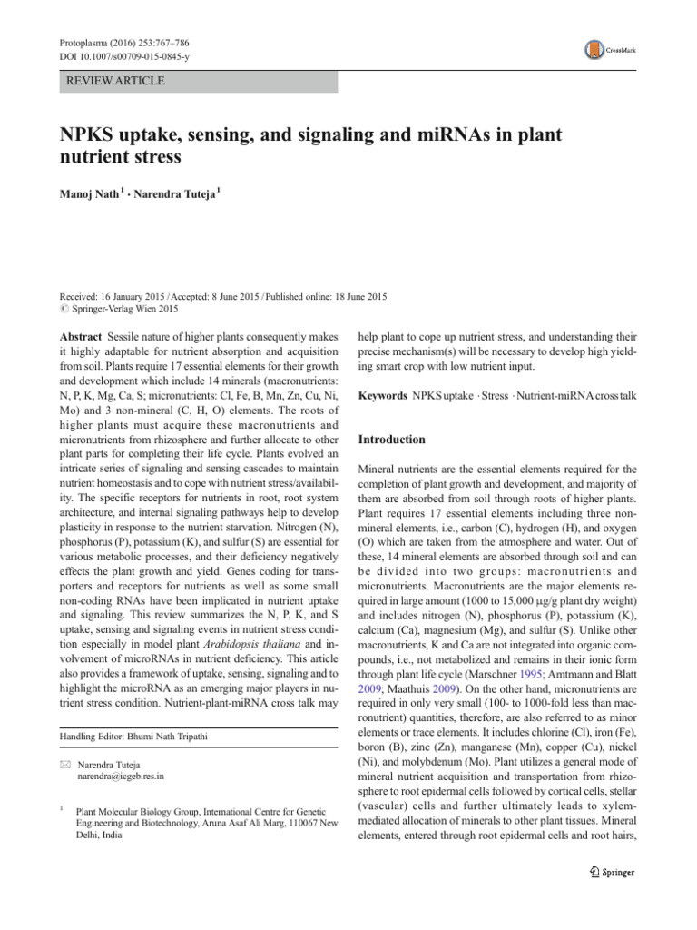 NPKS | PDF | Root | Plant Hormone