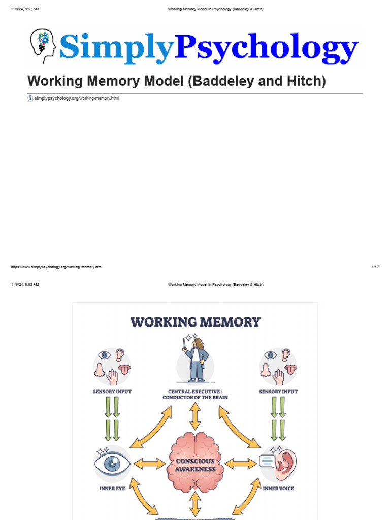Cognitive Psychology Notes | PDF | Working Memory | Psychological Concepts