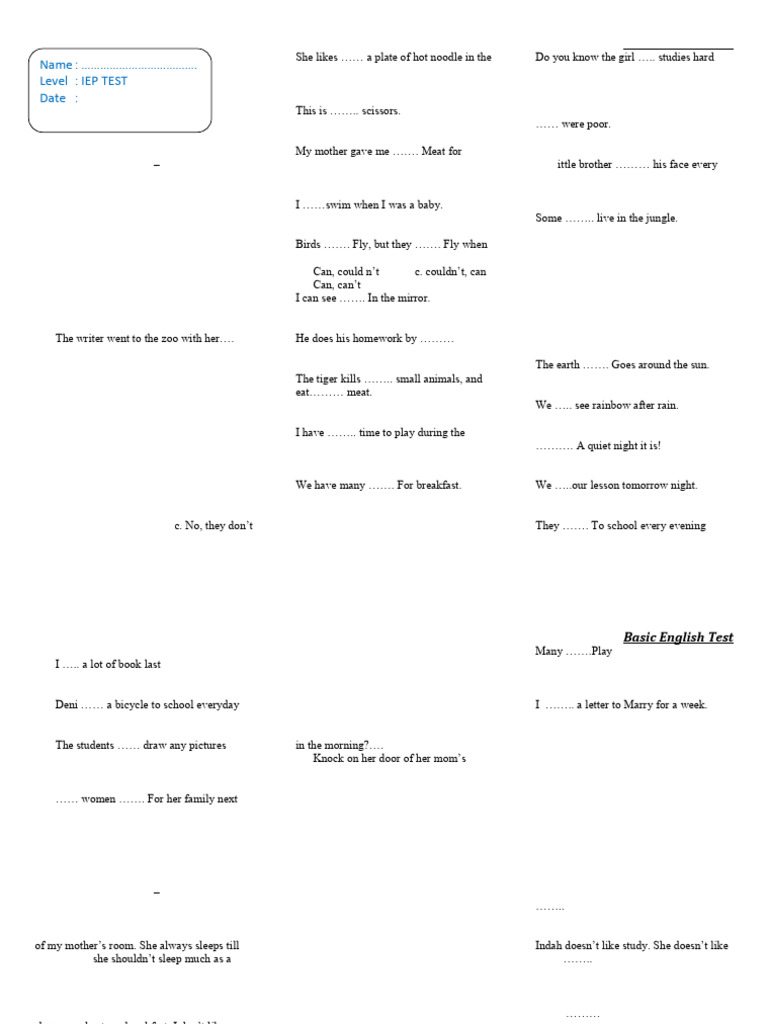Basic English Test | PDF