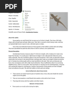 Leaf Tailed Geckos Adaptations | PDF | Predation | Camouflage