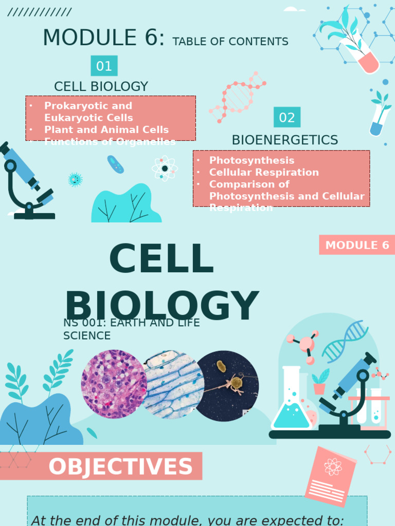 Cell Biology and Bioenergetics Overview | PDF | Cellular Respiration ...