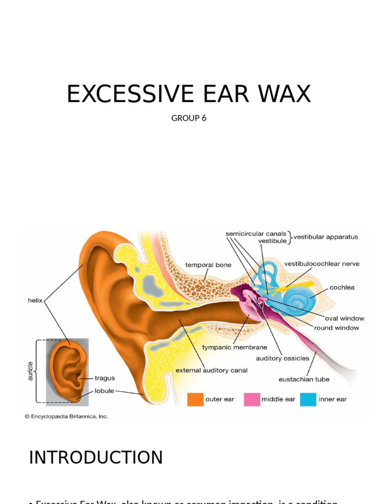 Excessive Ear Wax | PDF | Ear | Diseases And Disorders