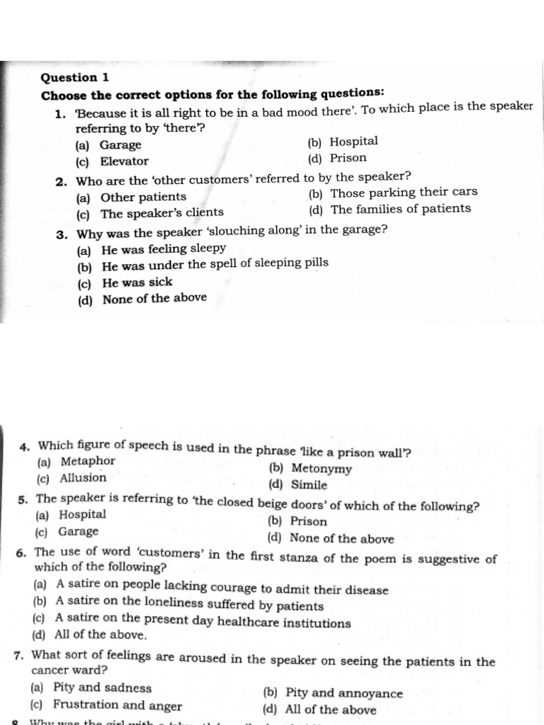 Why I Like the Hospital poem notes | PDF