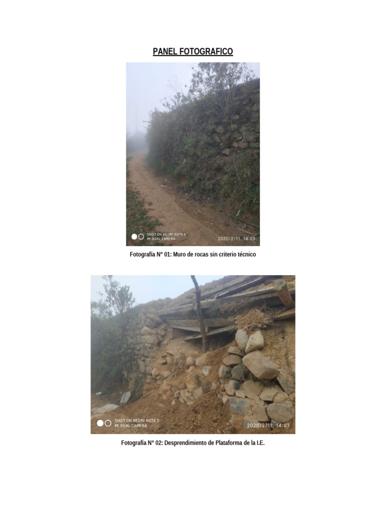 14. Panel Fotografico Juque | PDF