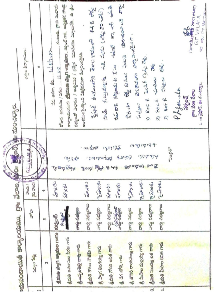 velala resolution | PDF