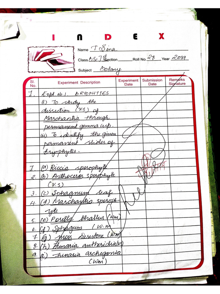 Botany Practical BSC 1st Sem (Experiment 1) | PDF