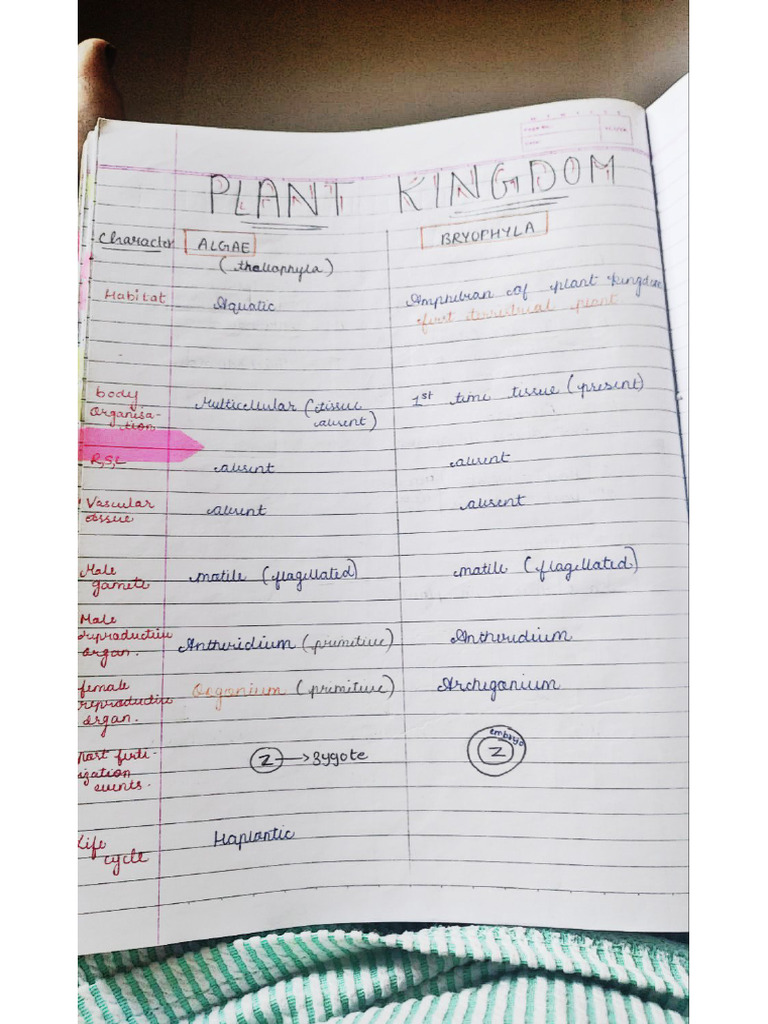 Image To PDF 20241208 10.14.11 | PDF