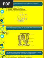 Ten Percent Law Numericals | PDF