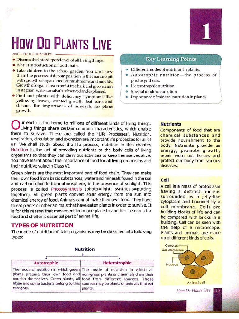 How Do Plants Live - Scanned Pages | PDF