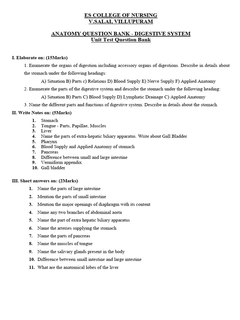 Anatomy GI System Questions | PDF