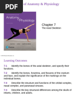 Unlabeled Axial Skeleton Overview | PDF | Skull | Skeletal System