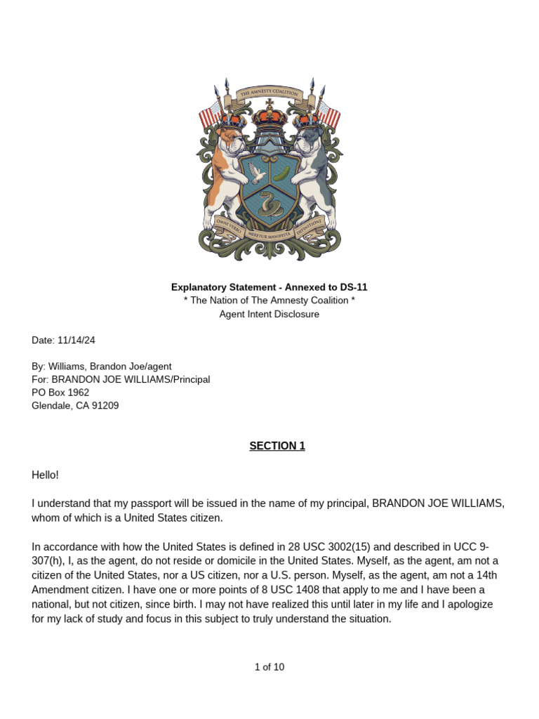 (PLZ READ!) Explanatory Statement For The Amnesty Coalition | PDF ...
