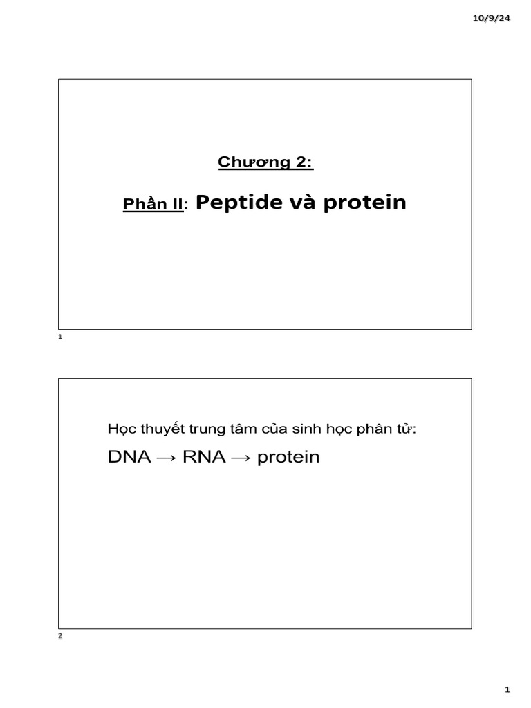 Chuong 2 Phan II Peptide - Protein 2024 Handout | PDF