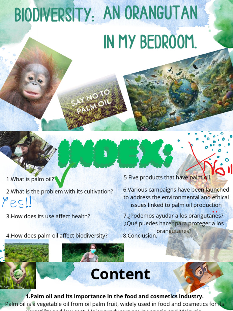 Protecting Orangutans from Palm Oil | PDF | Palm Oil | Deforestation