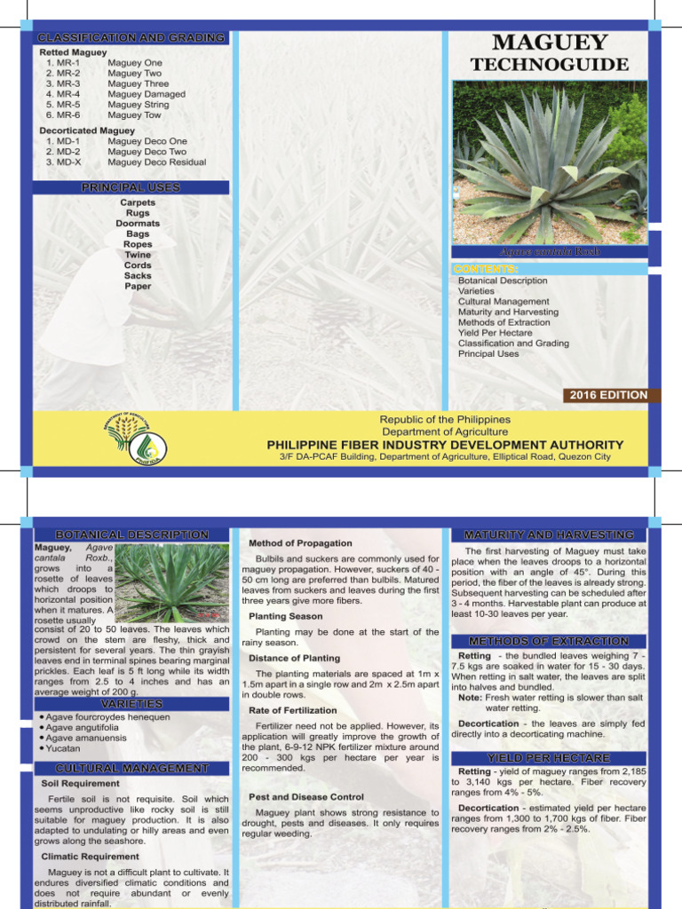 MAGUEY | PDF