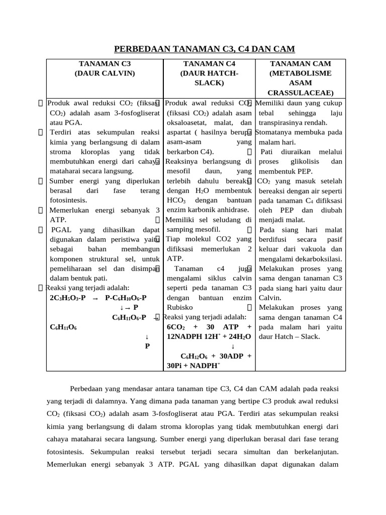 Perbedaan Tanaman C3, C4, CAM | PDF