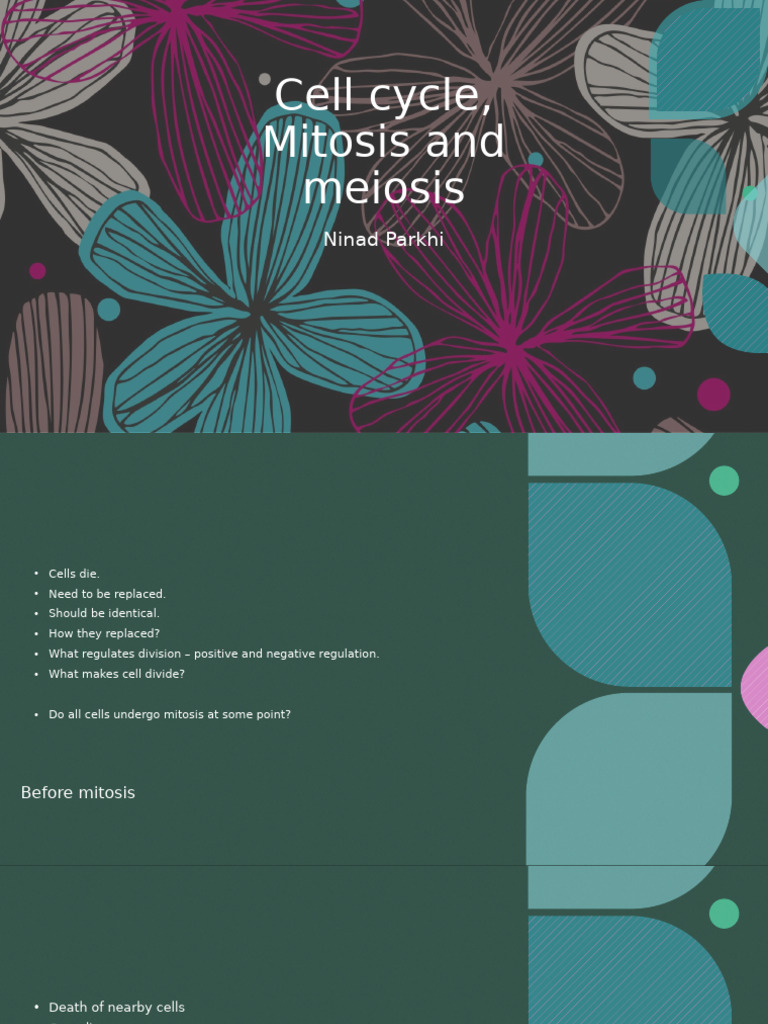 Cell cycle, Mitosis and meiosis | PDF | Mitosis | Cell Cycle