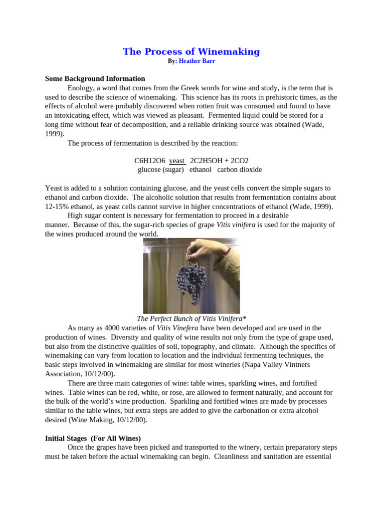 The Process of Winemaking | PDF | Fermentation In Winemaking | Wine