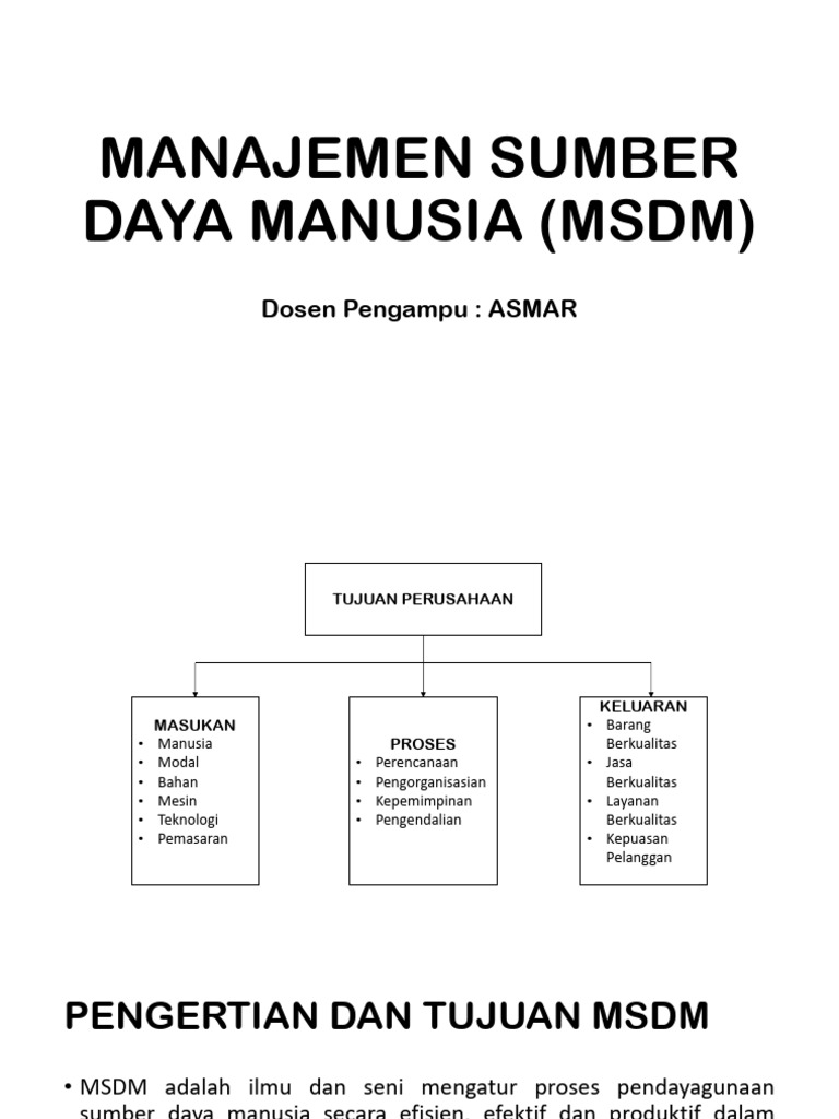 Gambaran Umum MSDM (1) | PDF