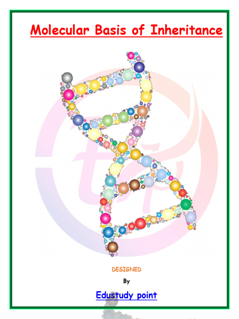 Molecular Basis of Inheritance (Edustudy Point) - Unlocked | PDF ...