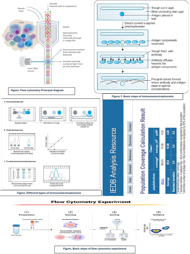 Flowcytometry | PDF