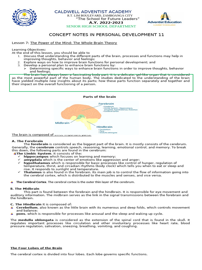 PerDev L 07 W4 The Power of Mind The Whole Brain Theory | PDF ...
