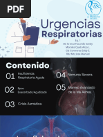 Estudio de La Relacion Safi y Pafi Iess 2020 | PDF | Respiración ...