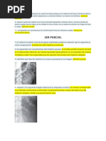 Signos de neumoperitoneo en radiografías | PDF | Abdomen | Hígado