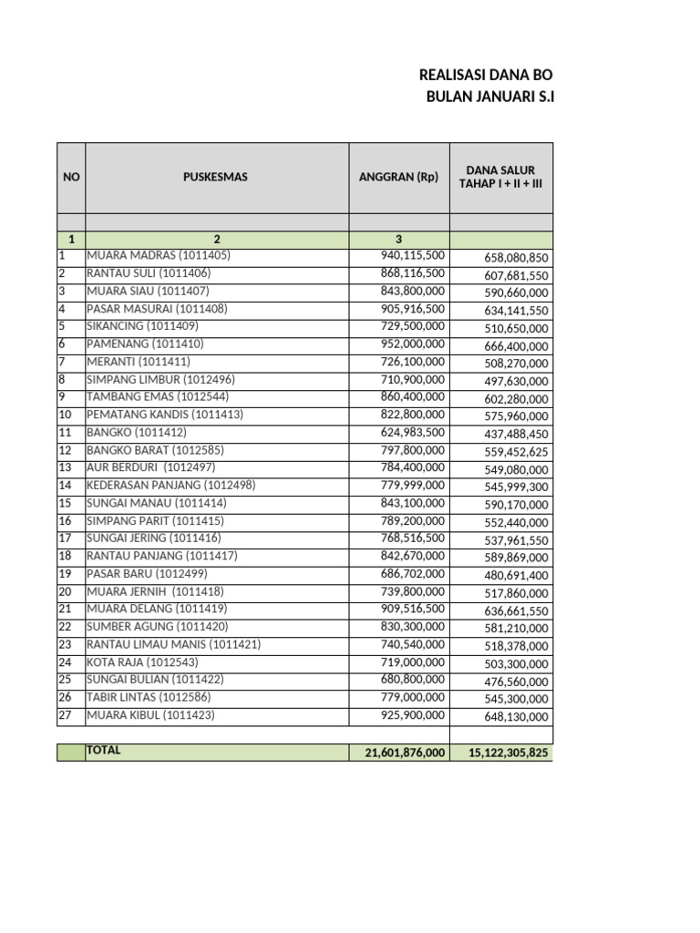 Realisasi Dana Bok Puskesmas Ta 2024 | PDF