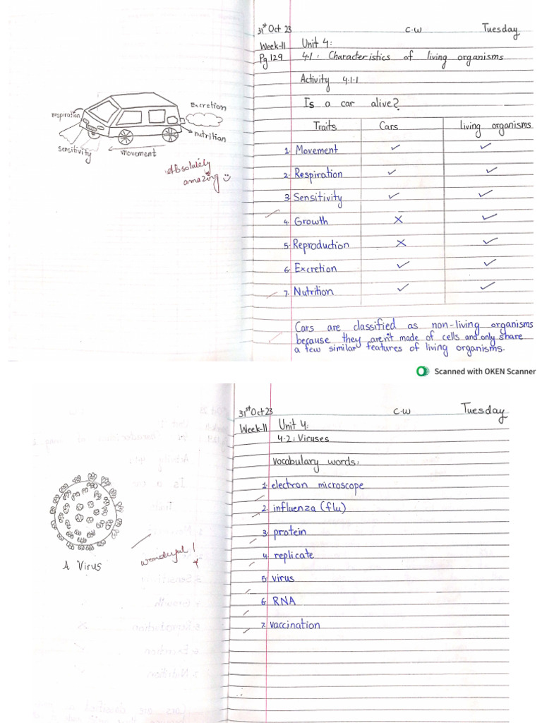 Unit 4 Science | PDF