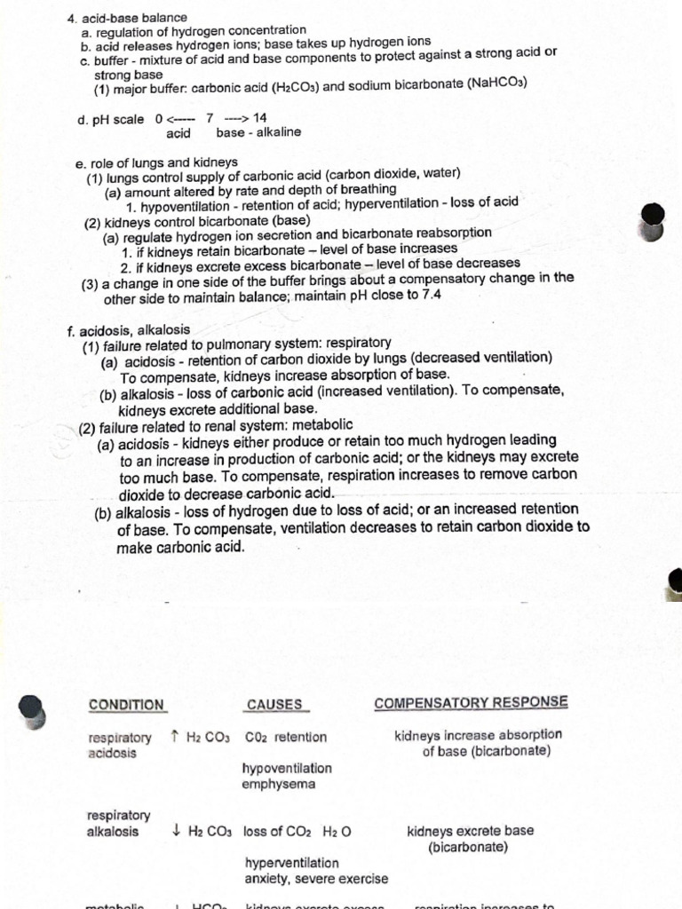 Acid Base Balance Study Guide | PDF