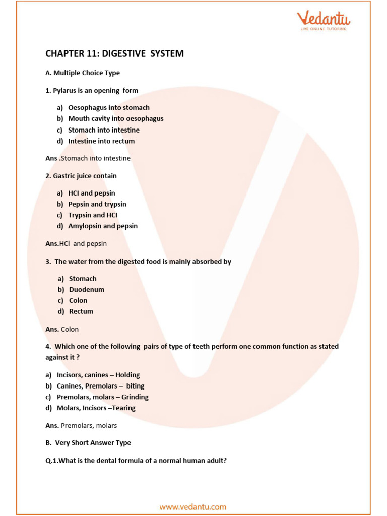 Selina Concise Biology Class 9 ICSE Solutions for Chapter 11 - Digestive System | PDF ...
