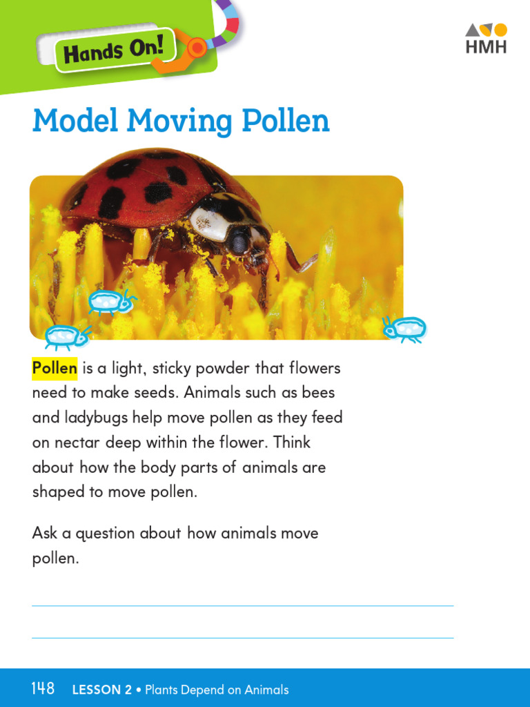 Into Science Grade 2 Hands On Activity Model Moving Pollen Student | PDF