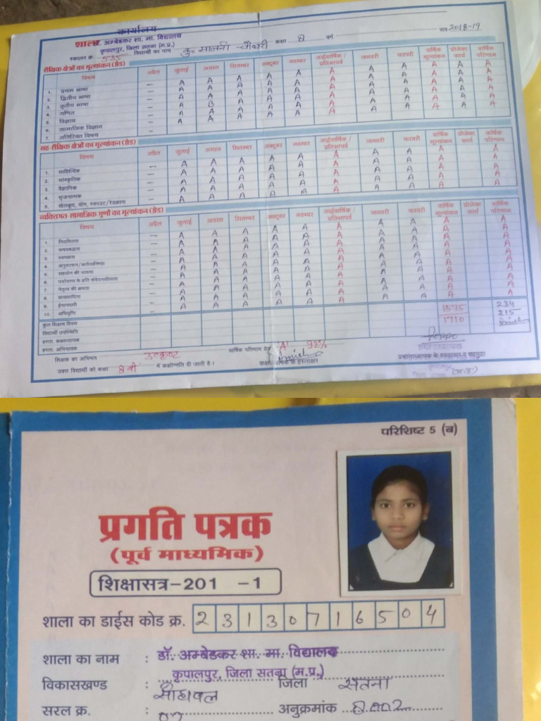 Class. 8 Marksheet | PDF