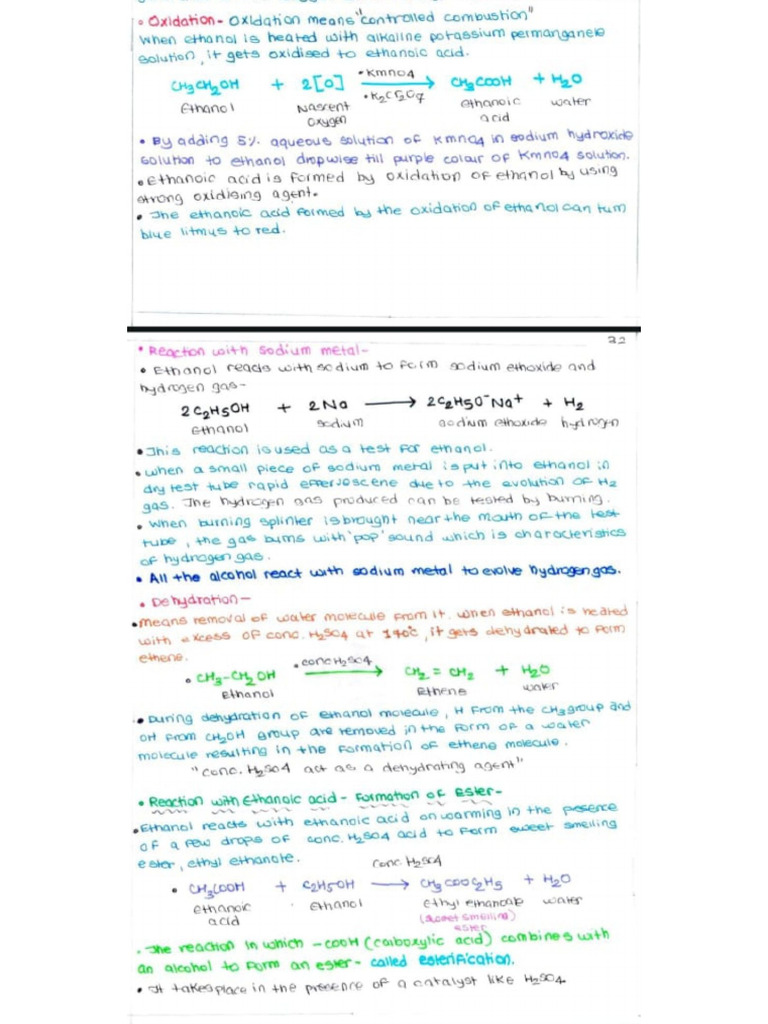 PDFReader 20241119 0957 | PDF