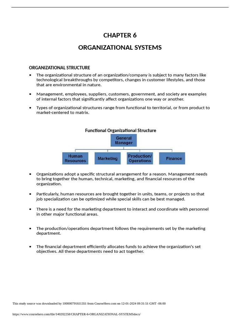 Chapter 6 Organizational Systems | PDF | Organizational Structure | Marketing