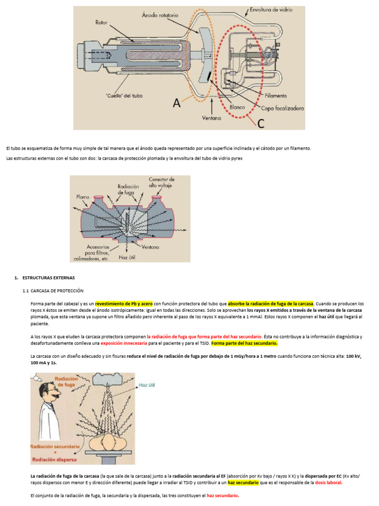 Ud 8 Ffi | PDF | Rayo X | Tubo vacío