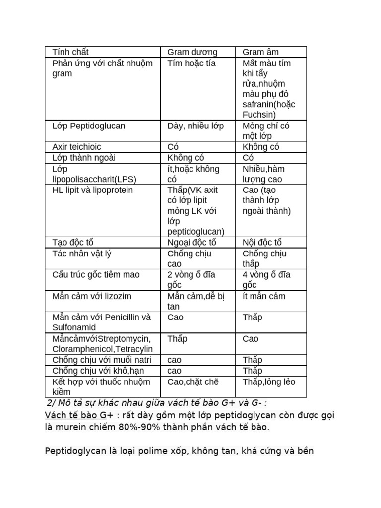 Gram Am Va DNG | PDF